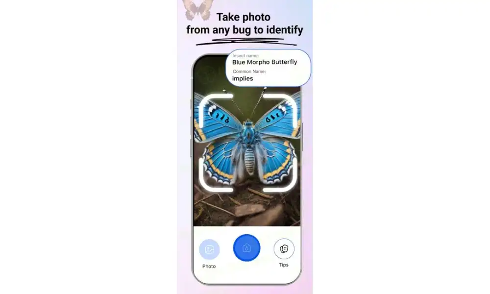 Bug Identifier: Try Top AI Tools | AI Talent Space